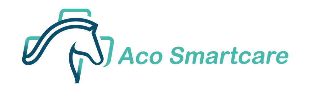 Aco neo Handheld Ultrasound